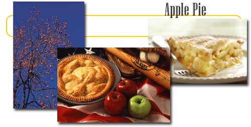 USA Geography Quizzes - Fun Map Games